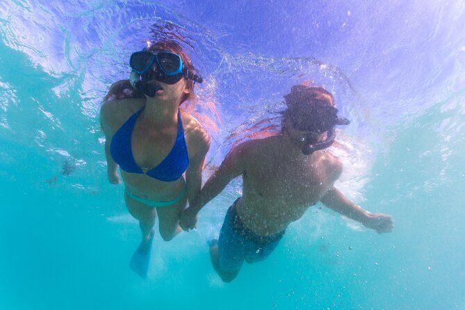 6-Day Coral Coaster from Perth to Exmouth One-Way via Monkey Mia Ningaloo Reef - An In-Depth Look at the Itinerary