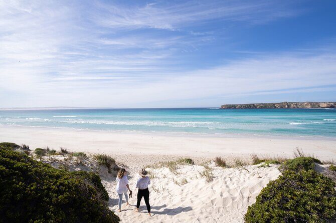 6-Day Eyre Peninsula & Flinders Ranges Adventure Tour - What Makes This Tour Special?