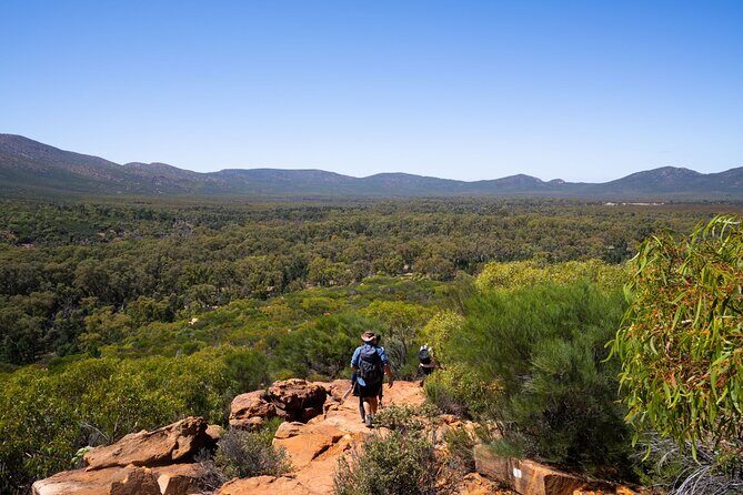 6-Day Eyre Peninsula & Flinders Ranges Adventure Tour - The Sum Up