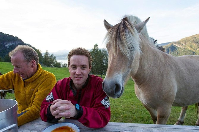 6 Day Fjord Kayaking Trip Norway - Price and Value Analysis