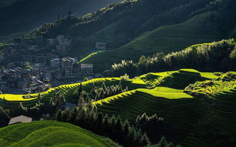 6-Day Guangzhou to Guilin Scenic Tour - Cruising the Li River: The Heart of the Tour