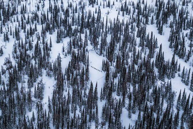 6-Day Kazakhstan Ridder Camp Ski Private Guided Tour and Adventure - Key Points