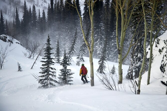 6-Day Kazakhstan Ridder Camp Ski Private Guided Tour and Adventure - Why This Tour Is Perfect for You