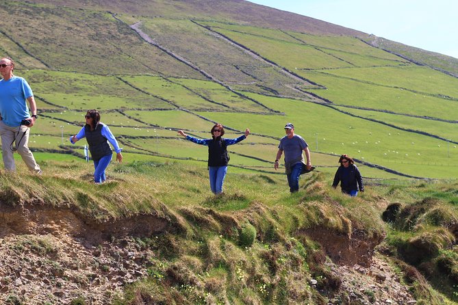 6-Day Magical Southern Explorer Small Group Tour - Accommodations and Dining