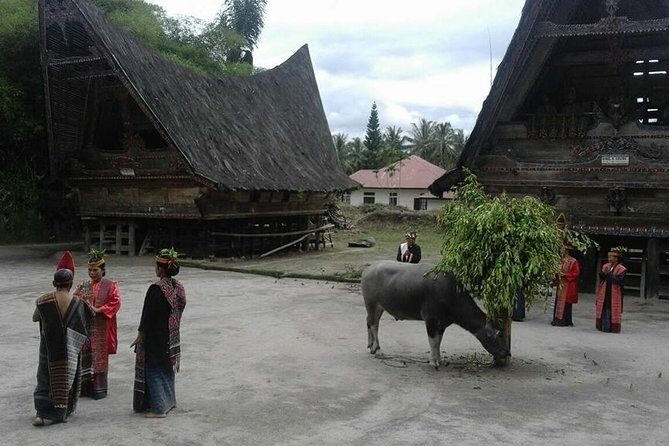 6 Day North Sumatra Highlights - Jungles Orangutans Lakes and Volcanoes - A Closer Look at the 6-Day North Sumatra Experience