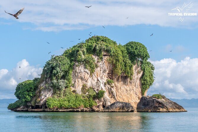 6-Day Private Tour between Bayahibe and Samana Bay - Who Would Love This Tour?