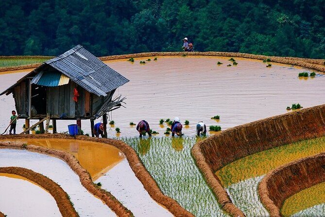 6-Day Private Tour Mu Cang Chai and Sapa from Hanoi - FAQs