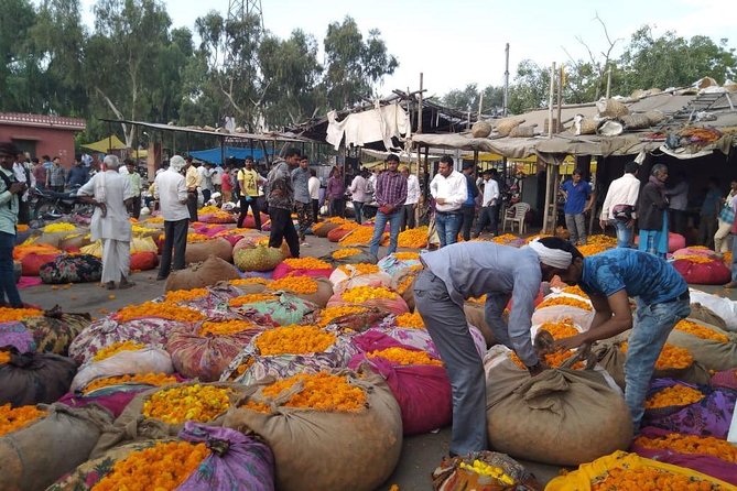 6-Day Private Tour of the Golden Triangle - Authentic Experiences and Genuine Value