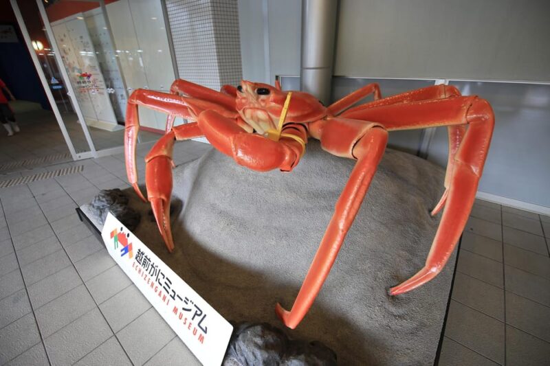 6-Day Private Tour to Kyoto via Fukui From Fukuoka With Bus - Exploring the Historical and Cultural Attractions