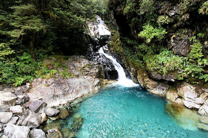 6 Day South Island New Zealand Private Tour from Christchurch - Who Is This Tour Best For?