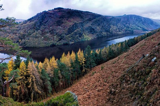 6-Day South of Ireland Tour From Dublin - Visiting Iconic Landmarks