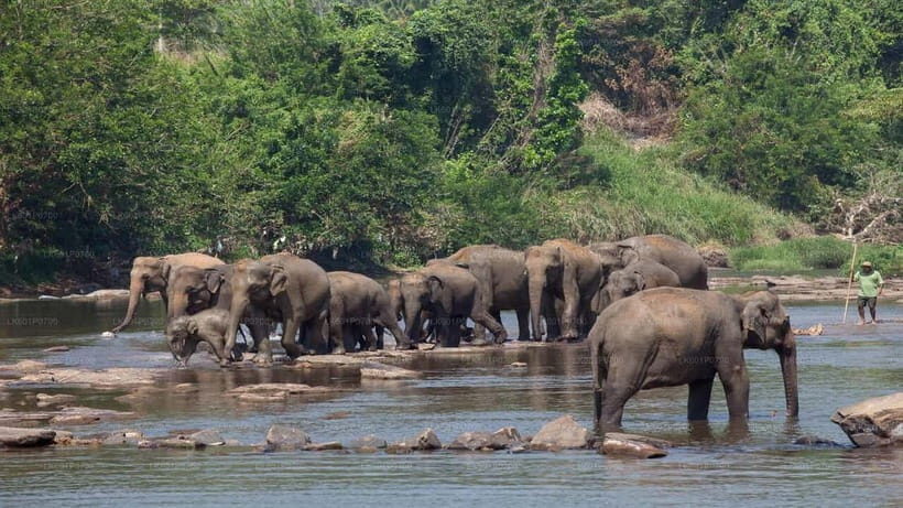"6-Day Sri Lanka Escape: From Highlands to the Sea" - Key Points