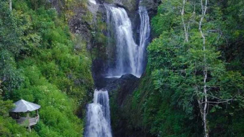 6-Day Toraja Experience Tour with Local Stay from Makassar - Why Travelers Will Appreciate This Experience