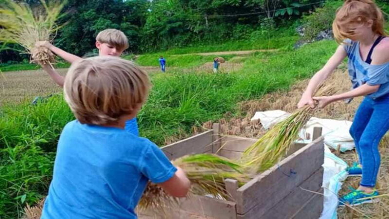 6-Day Toraja Experience Tour with Local Stay from Makassar - FAQ