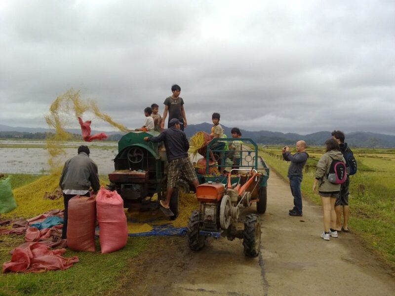 6-day Tour from Hoi An to Da Lat via Ho Chi Minh Trail - The Sum Up