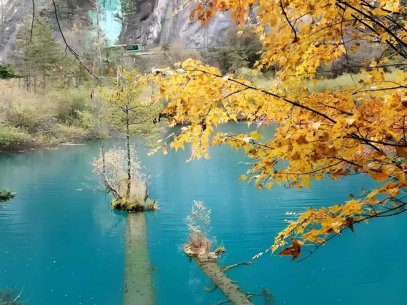 6 Day Tour Including Chengdu, Jiuzhaigou And Dagu Glacier - Key Points