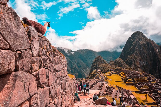 6-Day Tour of Cusco Magico-Machu Picchu-Rainbow Mountain - Inclusions and Meals