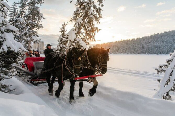 6-Day Winter VIA Rail Semi-Guided Tour from Vancouver to Calgary - Final Thoughts