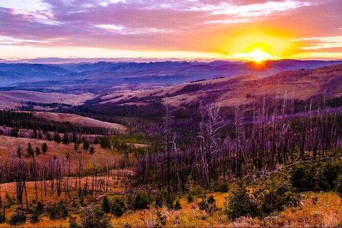6-Day Yellowstone and Mount Rushmore Tour from Salt Lake City - Who This Tour Is Best For
