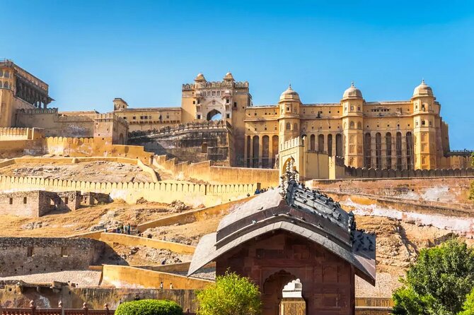 6 Days 5 Nights Golden Triangle Tour from Delhi - Practical Considerations