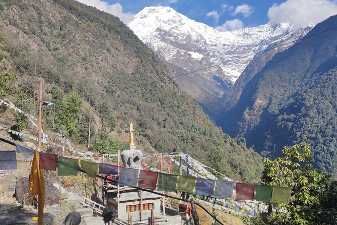 6 days Annapurna Basecamp Trek - The Value and Price