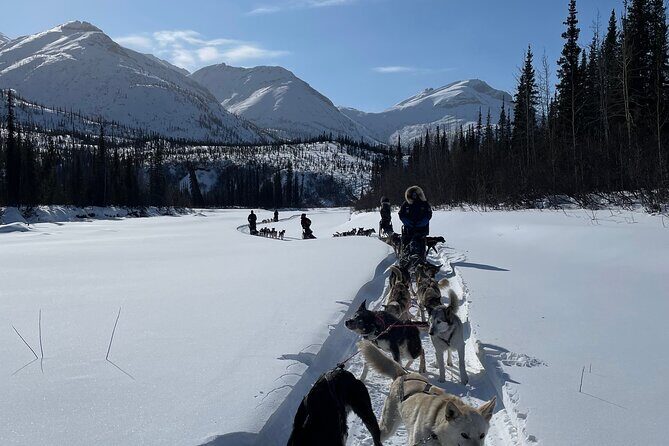 6 Days Brooks Range Expedition Private Tour - What Makes This Tour Special?