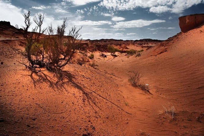 6 Days Color of Gobi Desert - A Detailed Look at the Gobi Adventure