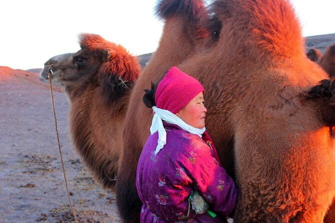 6 Days Color of Gobi Desert - FAQs