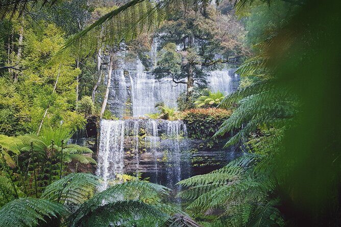 6-Days Discovery Tour of Tasmania - Comfort Style - Who Is This Tour Best For?