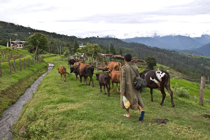 6 Days Explore the Hidden Kingdom of Bhutan - Who Will Love This Tour?