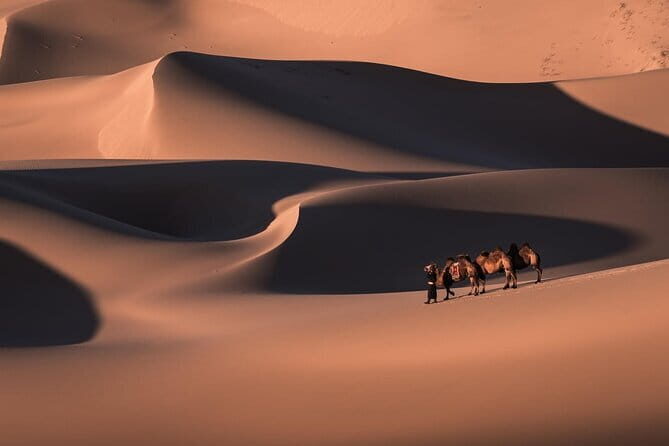 6 Days Gobi Desert Tour with complimentary airport pickup - Introduction