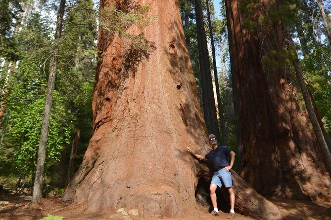 6 Days- Golden West and Utah Parks - FAQs