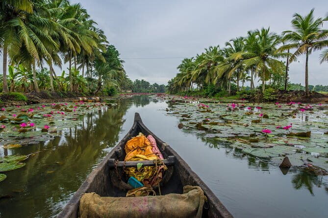 6 Days Kerala Tour Package With Houseboat Stay - Final Thoughts: Who Will Enjoy This Tour?
