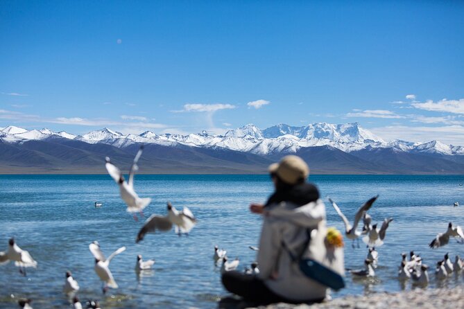 6 Days Lhasa Gyantse Shigatse Group Tour - Transportation and Logistics