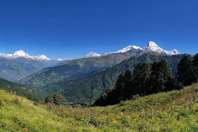 6 Days Morare Danda Hill Community Trek - Who This Trek Is Best For