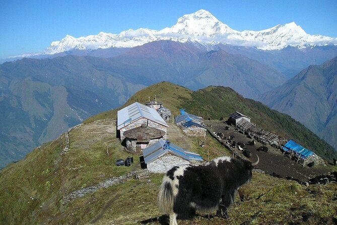 6 Days Morare Danda Hill Community Trek - FAQ