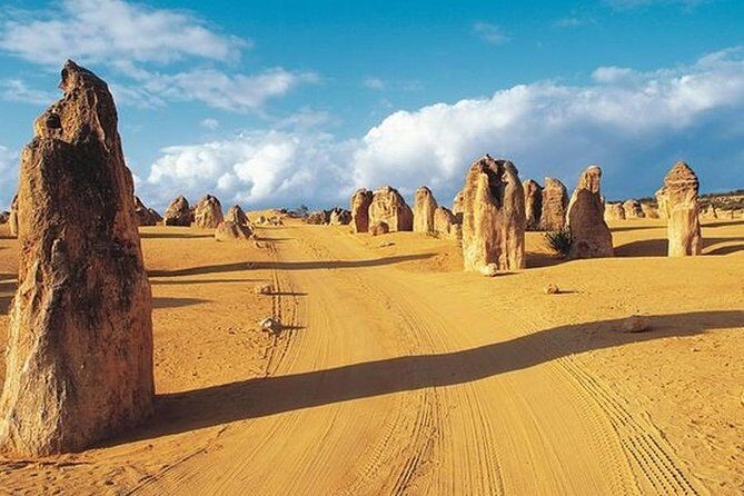 6 Days Perth All-Inclusive Touring Package - Why This Tour Offers Real Value