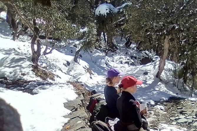 6 Days Poon Hill - Ghandruk Circuit Trek from Kathmandu - Practical Details and Considerations