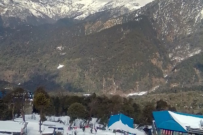 6 Days Poon Hill - Ghandruk Circuit Trek from Kathmandu - What Travelers Are Saying