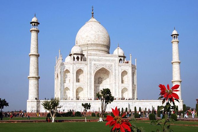 6-Days Private Luxury Golden Triangle Tour from Delhi - Final Thoughts: Who Will Enjoy This Tour?