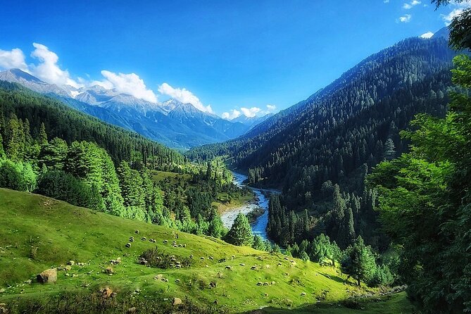 6 Days Private Tour in Kashmir - FAQ About the 6 Days Kashmir Tour