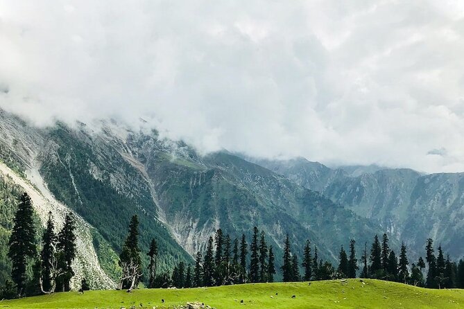6 Days Private Tour in Kashmir Valley - What Makes This Tour Stand Out?