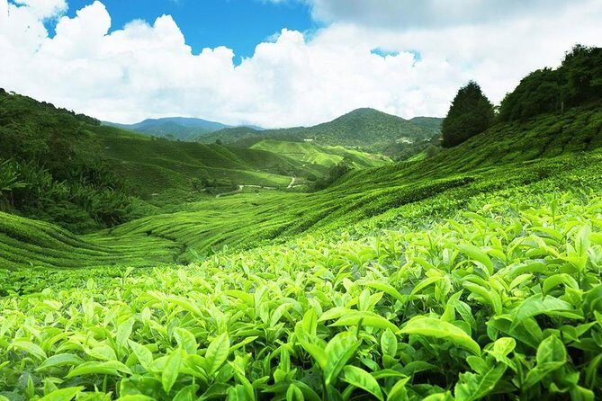 6 Days Sri Lanka Private Heritage Tour - Day-by-Day Breakdown