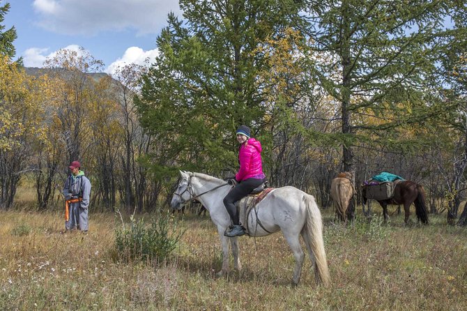 6 Days Tour: Central Mongolia - Practical Insights and Value