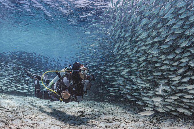 6 days unlimited diving - FAQ