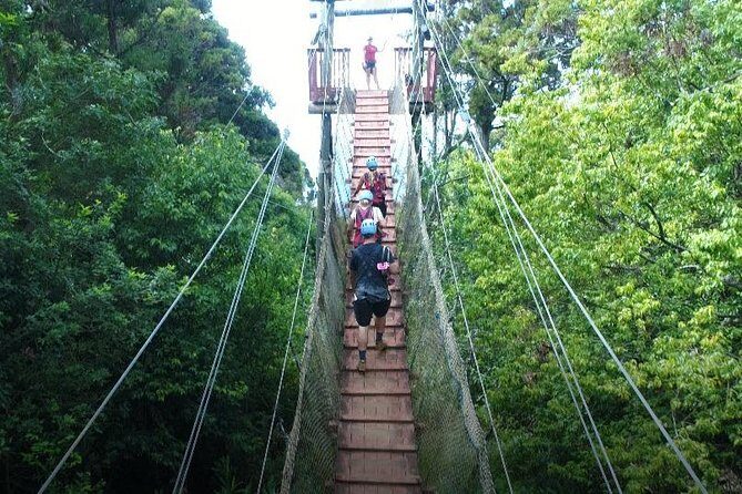 6 Dual-Zipline Mountain Adventure in Maui - Who Will Love This Tour?