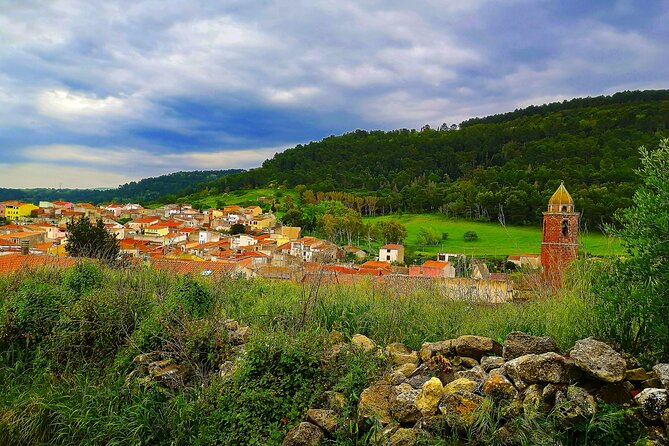 6 Hour Cooking Adventure in Banari - The Value of This Experience