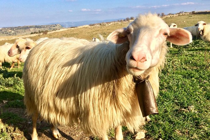 6 Hour Cooking Adventure in Banari - Itinerary Breakdown: Why Each Step Matters