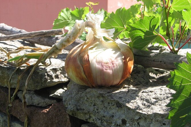 6 Hour Cooking Adventure in Banari - Authentic, Community-Centered Food and Its Significance