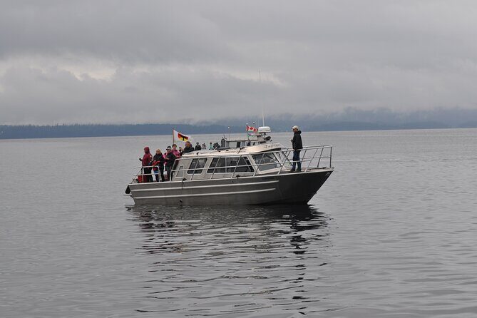 6 hour Covered Boat Whale Watching Tour - The Experience at a Glance
